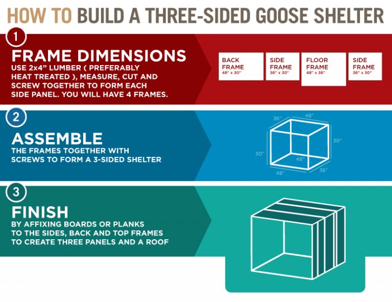 Goose Shelter Options - Backyard Poultry